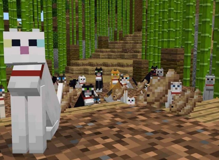 Calling All Gamers: Discover The Secret Life Of Cats In Minecraft With ...